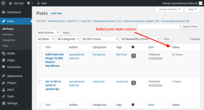 How To Track & Display Post Views in WordPress Without Any Plugin
